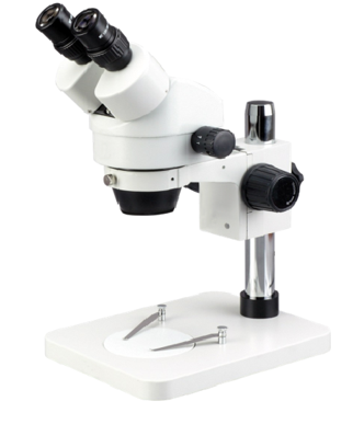 Stereo Microscope | Alpha Dynamic